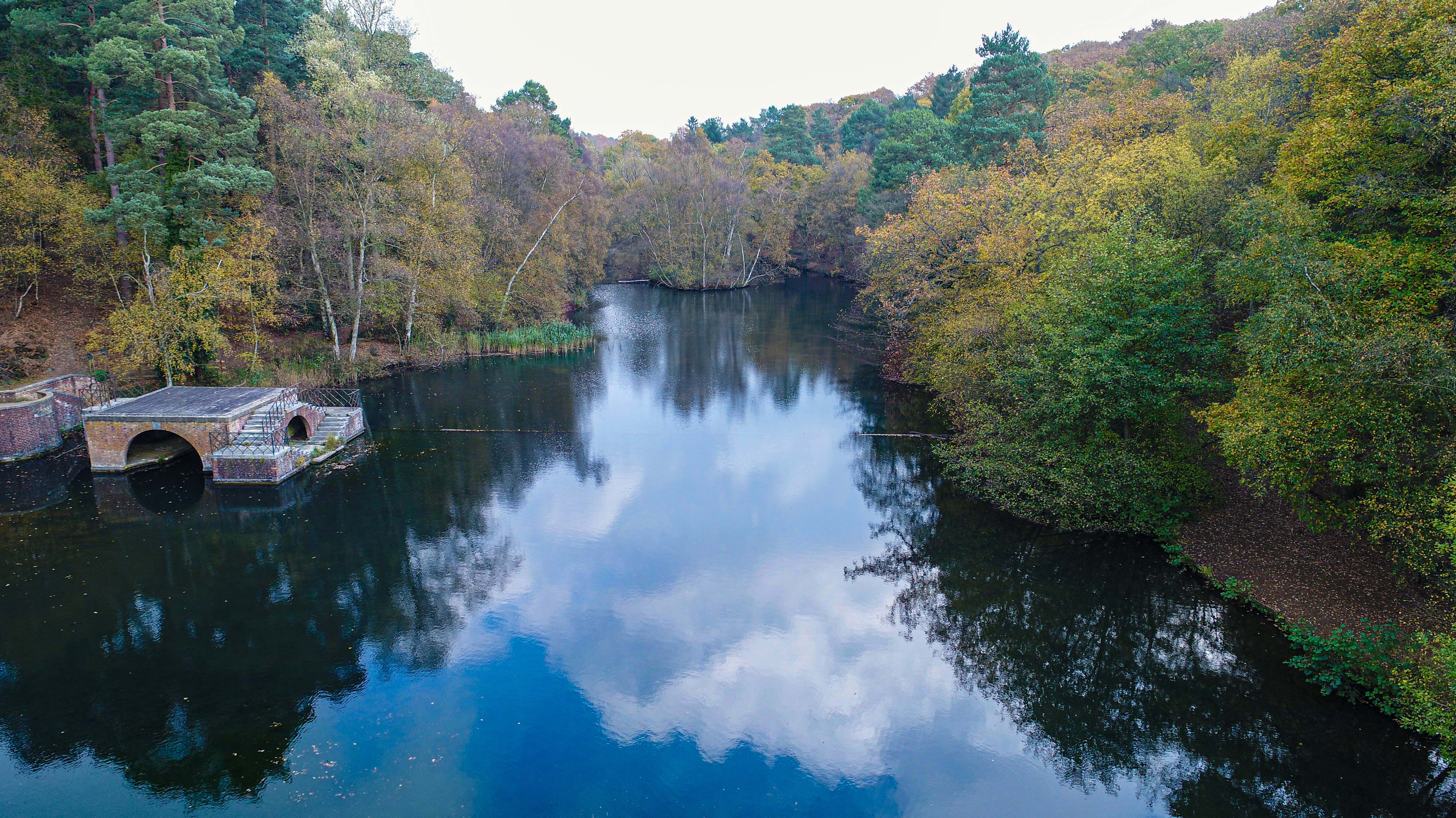 Rushmere | Bedfordshire Bird Club